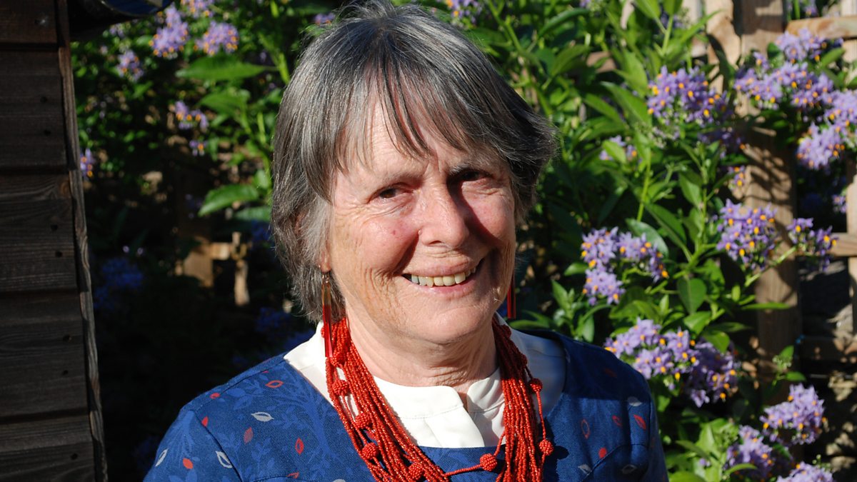 BBC Radio 4 - The Life Scientific, Brenda Boardman on making our homes ...