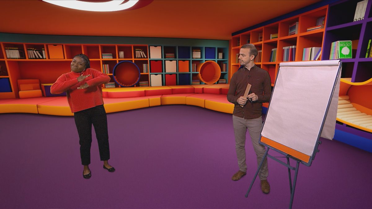 Bitesize Daily: 7-9 Year Olds - Maths: 146. Maths - Properties of ...