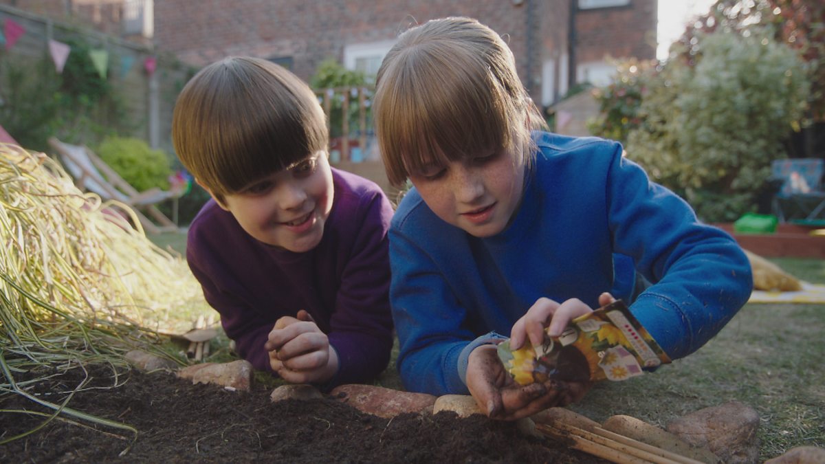 Biff and Chip - Series 1: 6. The Seed Thieves - BBC iPlayer