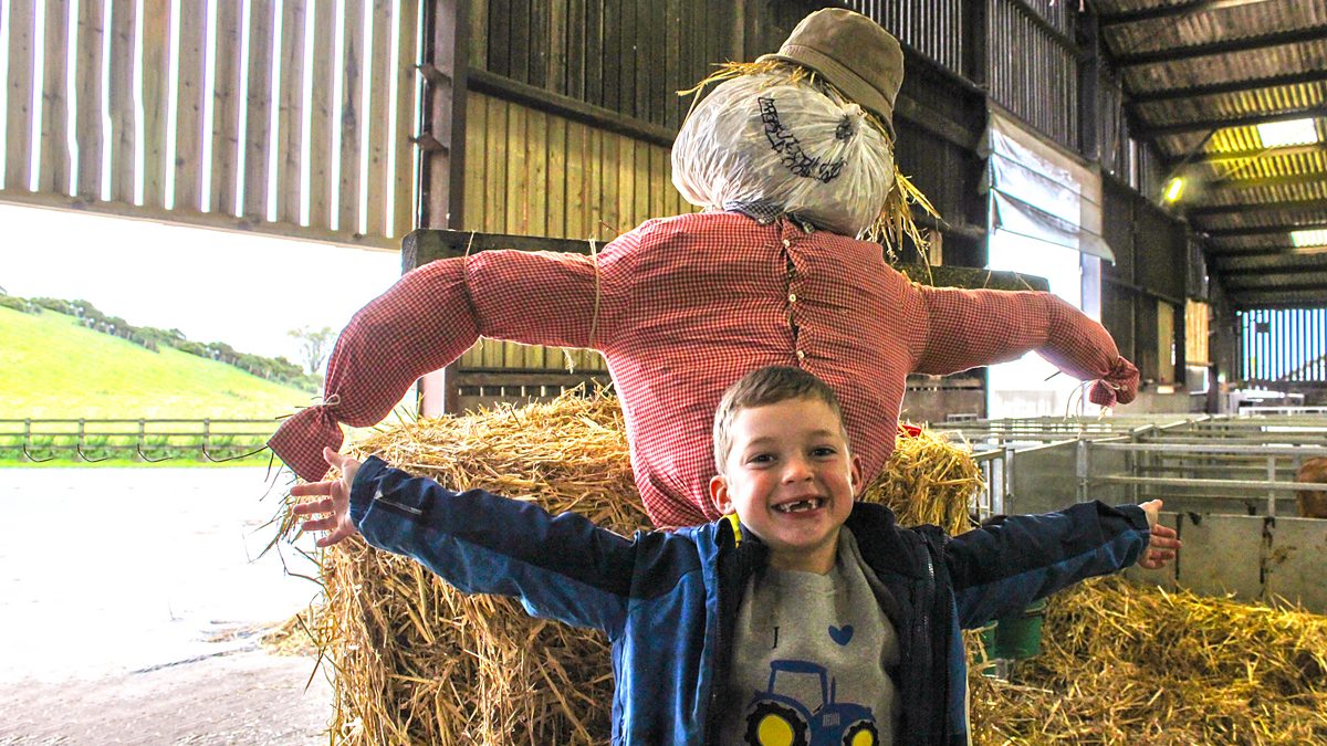 My First Festivals - Series 2: 6. Harvest - BBC iPlayer