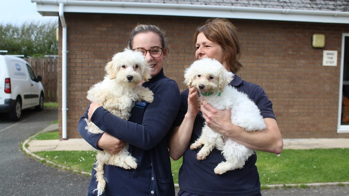 BBC Radio Cornwall - Jack Murley, "We have had a lot of animals coming ...