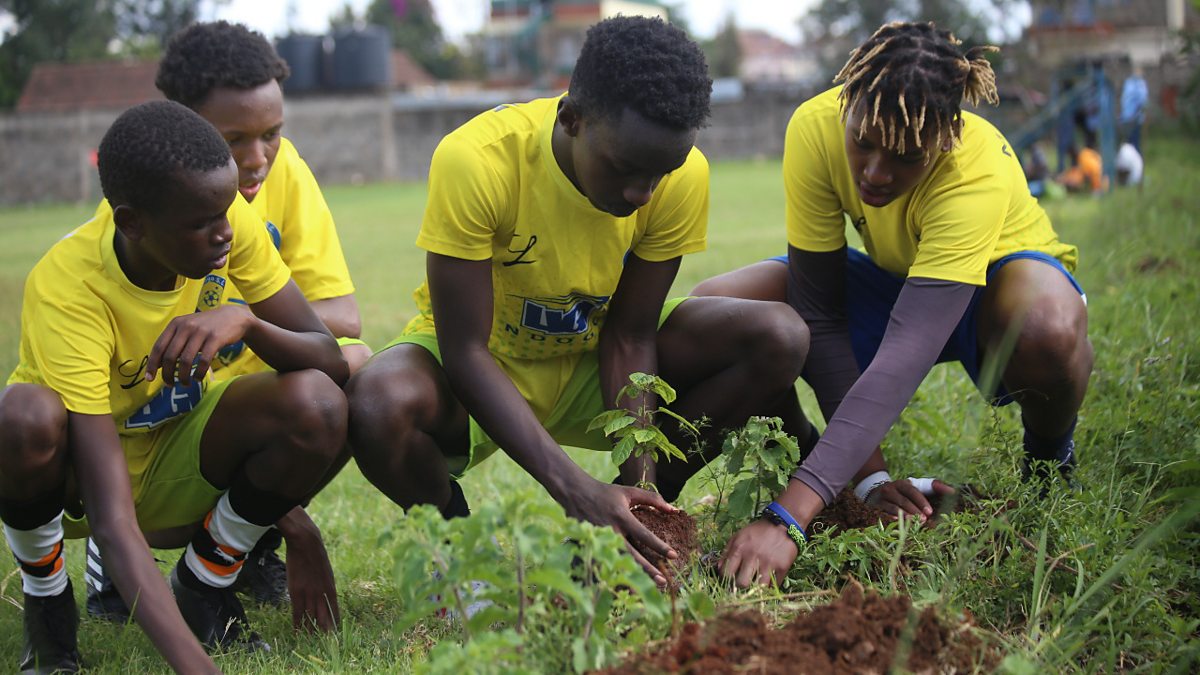 BBC World Service - Newsday, The 17-year-old Kenyan footballer planting ...