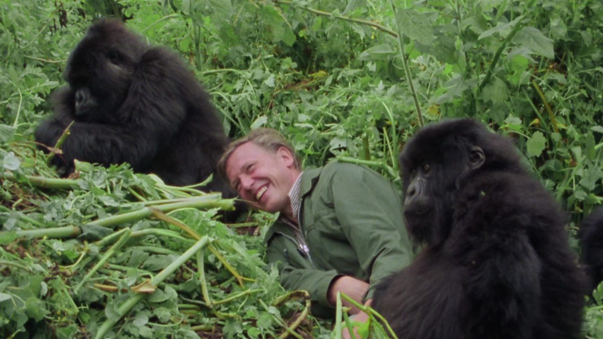 BBC One - The Earthshot Prize, Repairing Our Planet, Protect & Restore ...