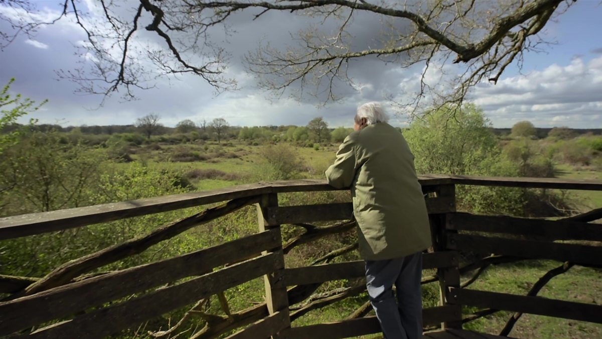 BBC One - The Earthshot Prize, Repairing Our Planet, Protect & Restore ...