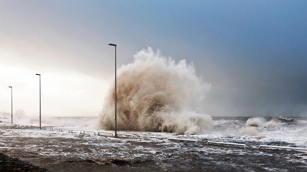 BBC Radio 4 - The Life Scientific - Can science help us predict and ...