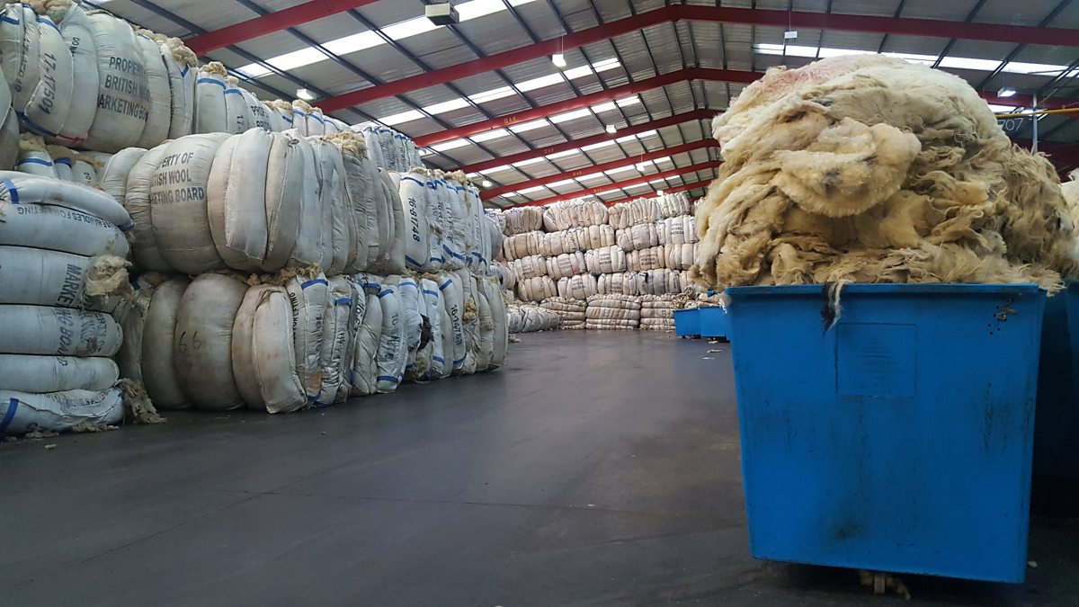 BBC Radio Cymru - Bwletin Amaeth, Cynnydd ym mhrisiau gwlân