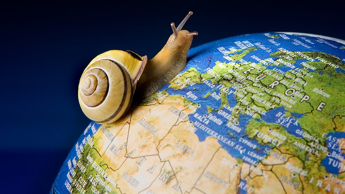 BBC World Service - CrowdScience, Does the planet need snails?