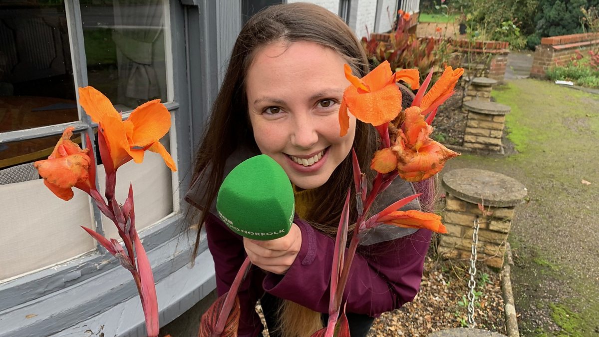 BBC Radio Norfolk - Treasure Quest, With Sophie Little and Anna Perrott ...