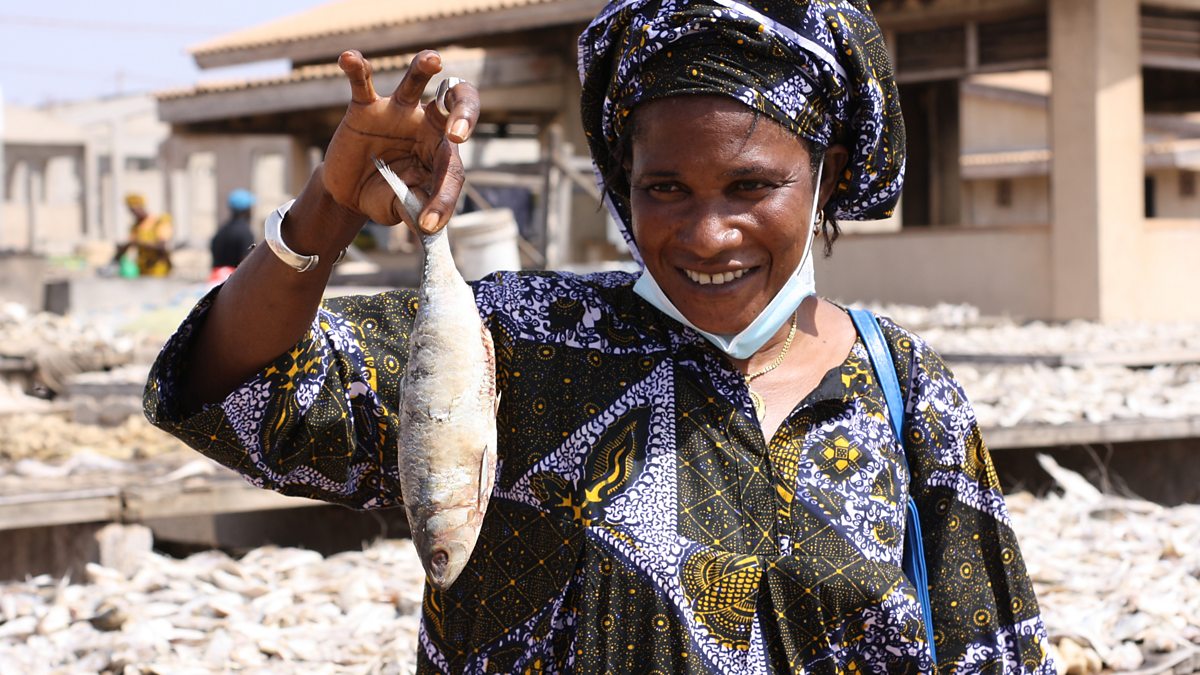 BBC World Service - The Documentary, Tale of a tiny fish: Part one