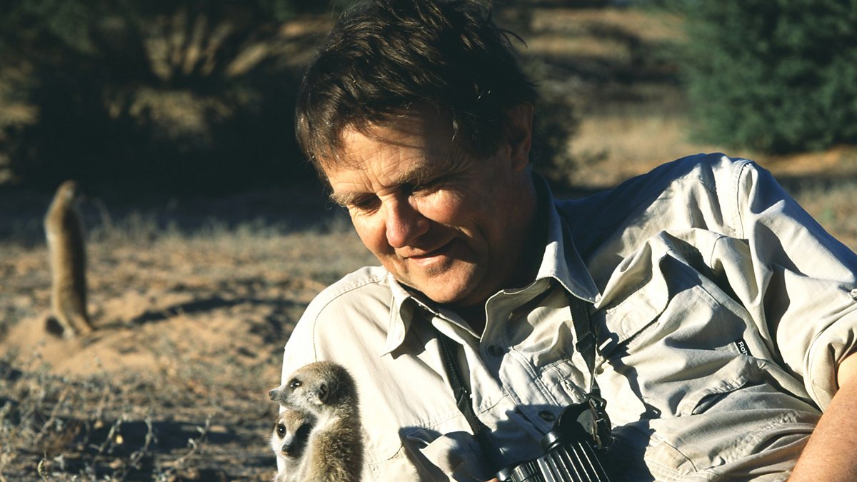 BBC Radio 4 - The Life Scientific, Tim Clutton-Brock on meerkats, red ...