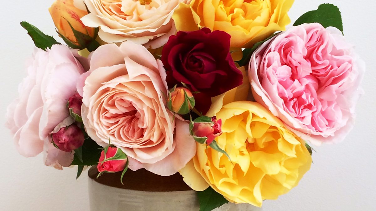 BBC Radio 4 - Free Thinking, The Language of Flowers