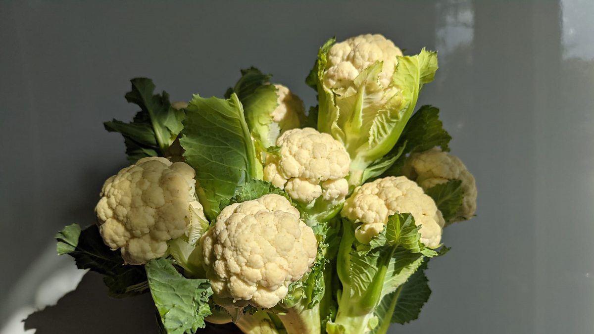 BBC Radio 4 - The Food Programme, Veg Invention: The stories of new ...