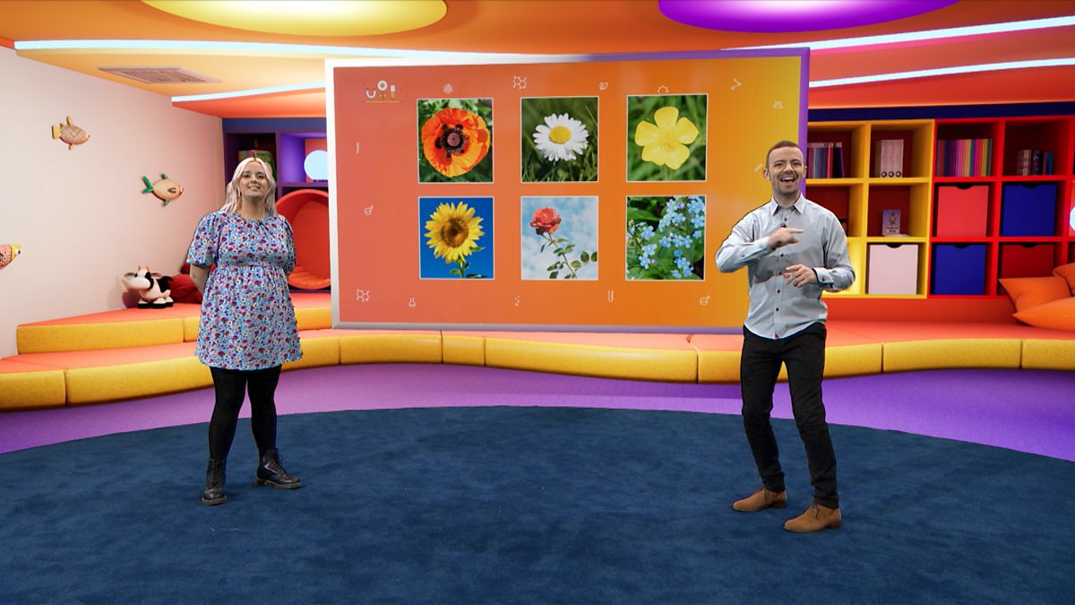 Bitesize Daily: 5-7 Year Olds - Science 5-6 Year-Olds: 1. Plant ...