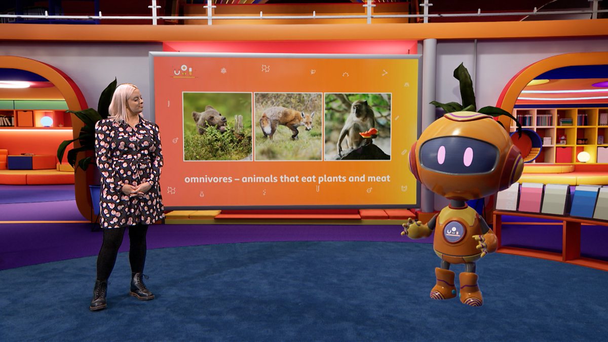 Bitesize Daily: 7-9 Year Olds - Science 8-9 Year-Olds: 1. Science ...