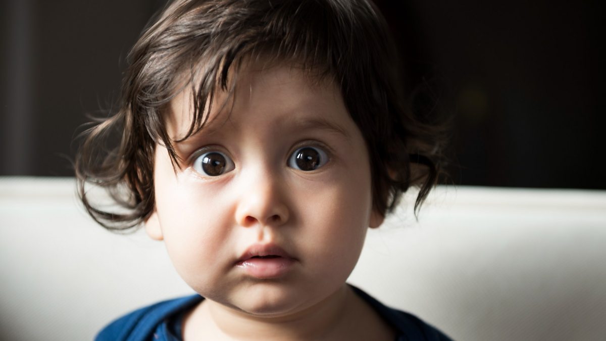 BBC World Service - CrowdScience, Should I have kids?, Is it morally ...