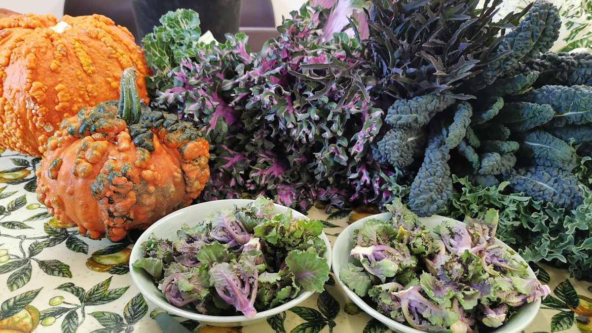 BBC Radio 4 - Radio 4 in Four - Veg invention: the new fruit and veg ...