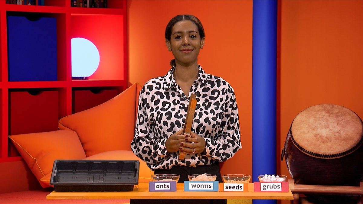 Bitesize Daily: 5-7 Year Olds - Science 5-6 Year-Olds: 2. Naming ...