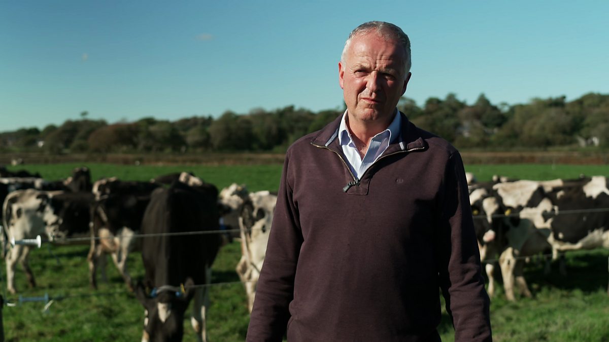 S4C - Ffermio, Mon, 01 Nov 2021