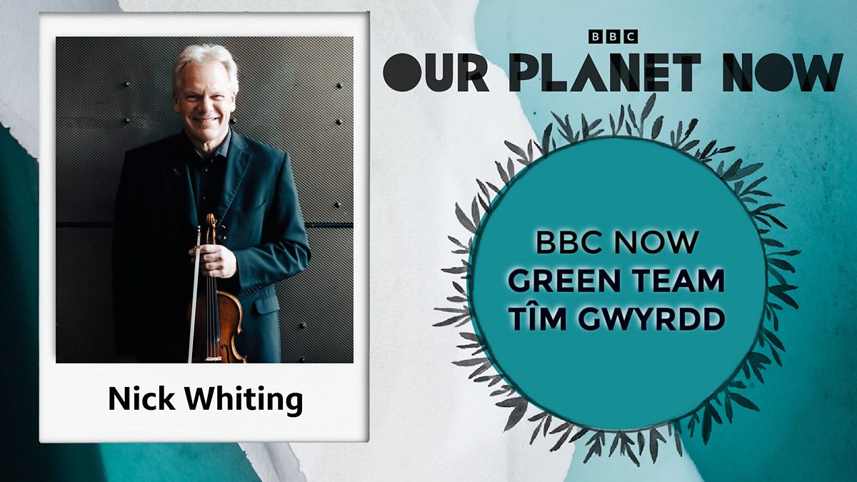 BBC - BBC National Orchestra of Wales - BBC NOW Green Team: Nick Whiting