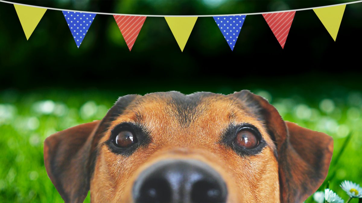BBC Scotland - Scotland's Best Dog, Series 1