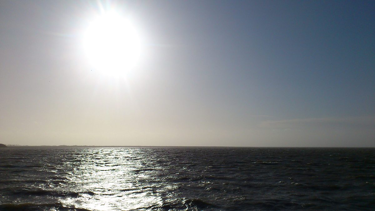 BBC Blogs - Springwatch - Watching our seas change