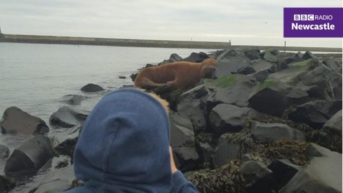 BBC Radio Newcastle - Breakfast on BBC Radio Newcastle, Kelly Scott 14 ...