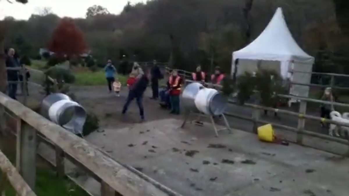 BBC Radio Sussex - Allison Ferns on BBC Radio Sussex, 22/11/2021 ...