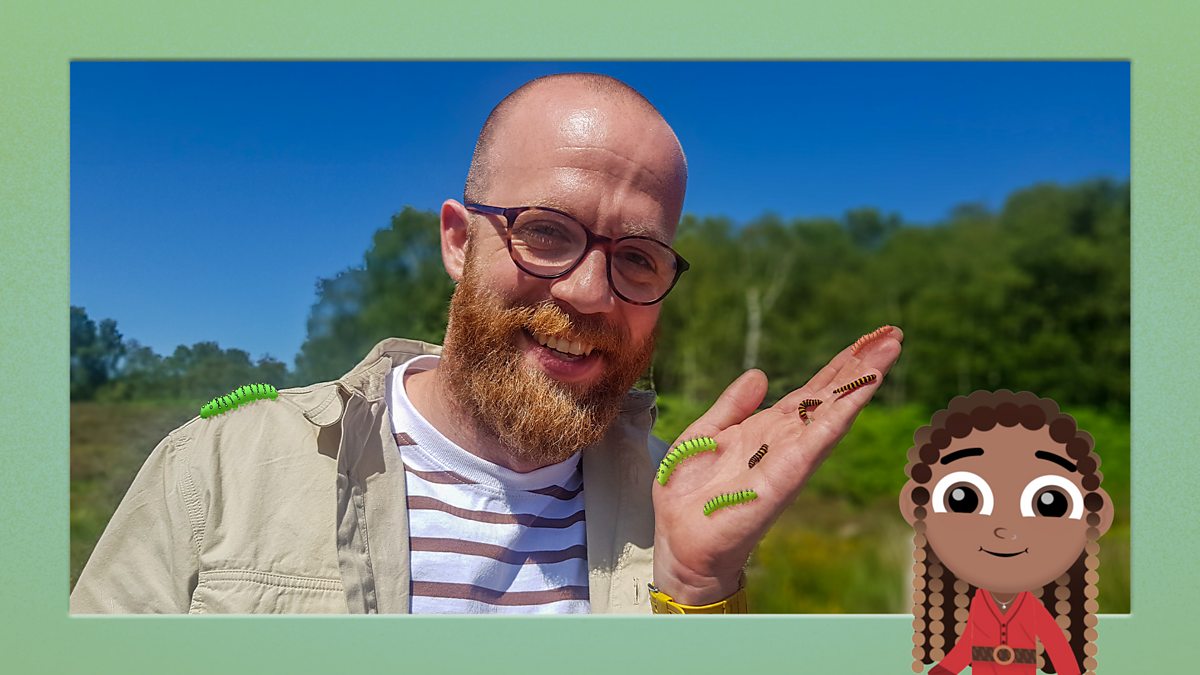 CBeebies - Teeny Tiny Creatures, Series 2 - Chantelle and Rory ...