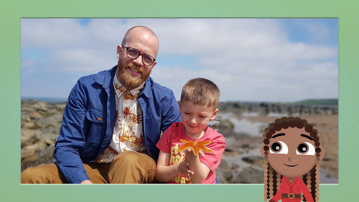 Teeny Tiny Creatures - Series 2 - Chantelle and Rory: 14. Starfish ...