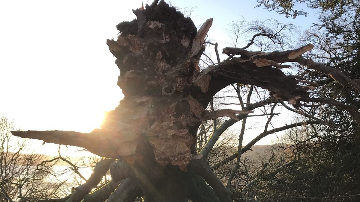 BBC Radio Cumbria - Simon Yaxley, 03/12/2021, How is Cumbria coping in ...