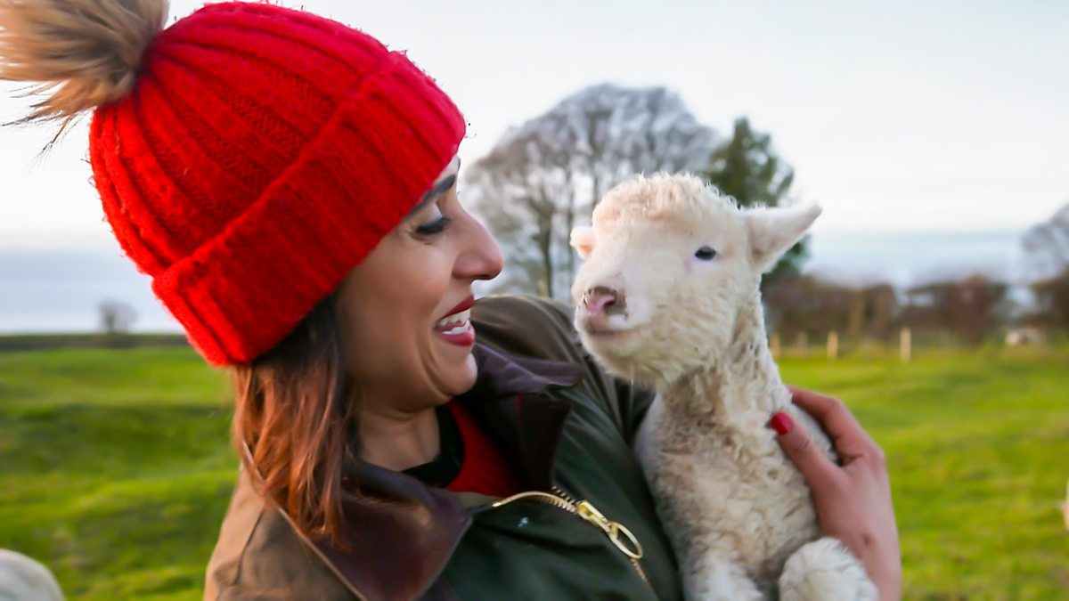 BBC One - A Countryside Christmas