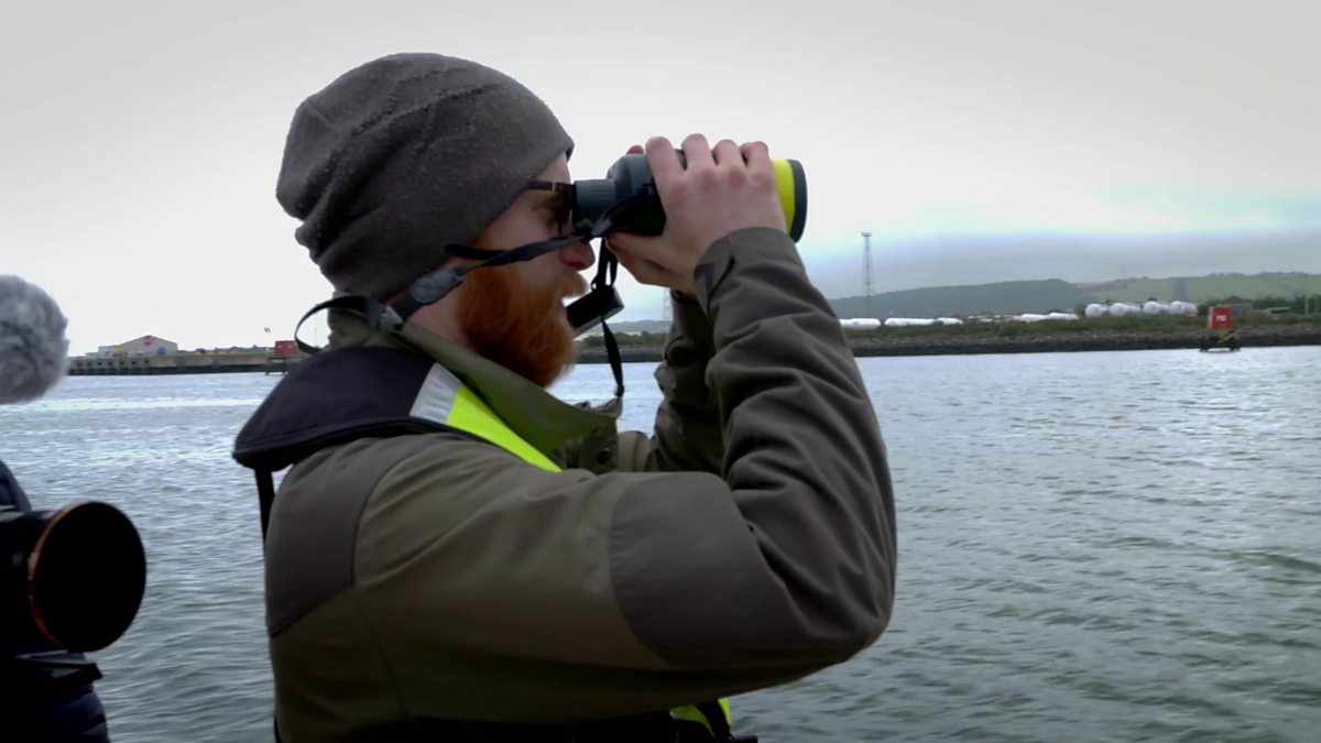 BBC One - Barra's Wild Days Out, Series 1, Belfast, The seals of Belfast