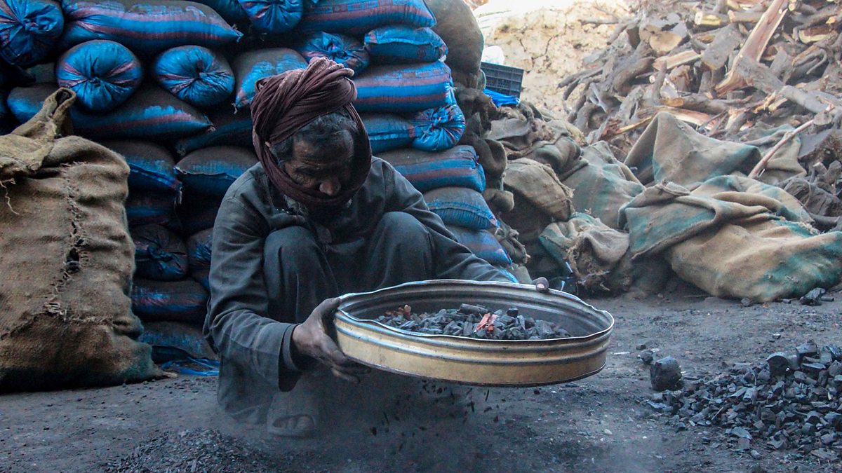 BBC World Service - The Documentary Podcast, A Pyrotechnic History of ...