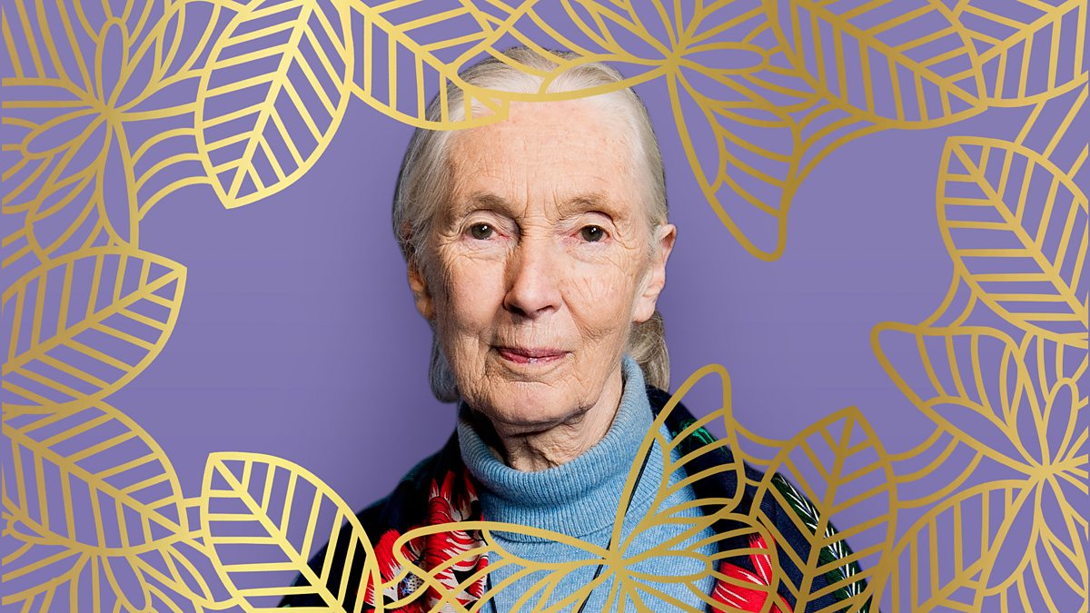 BBC Radio 4 - Best of Today, Dr Jane Goodall’s Today Programme
