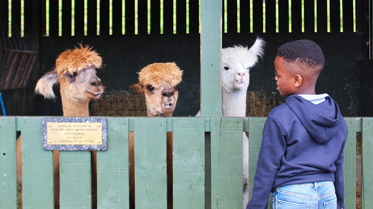 CBeebies - This Is Me, Series 1 - Episode guide