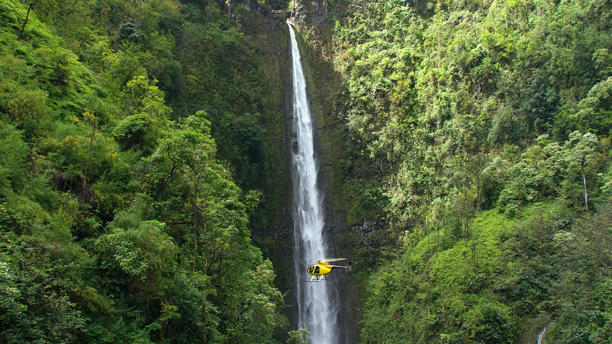 BBC One - The Green Planet - Human Worlds quiz