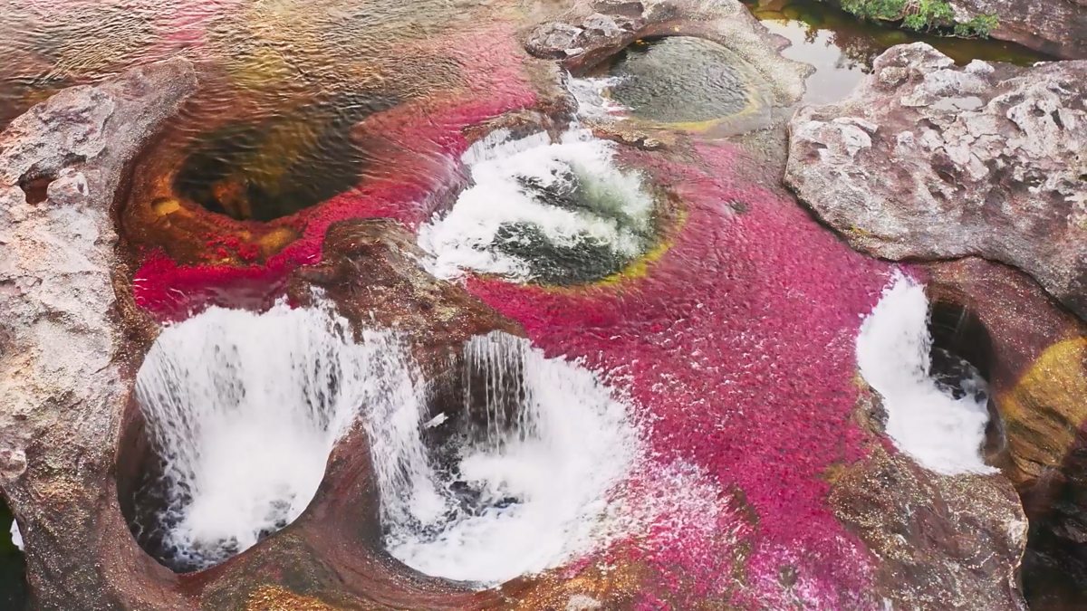 BBC One - The Green Planet, Series 1, Water Worlds, The most beautiful ...