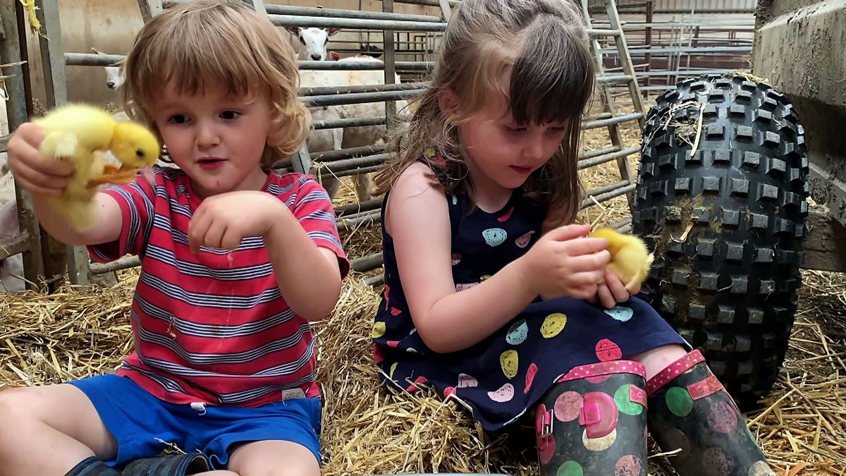 S4C - Ffermio, Mon, 10 Jan 2022