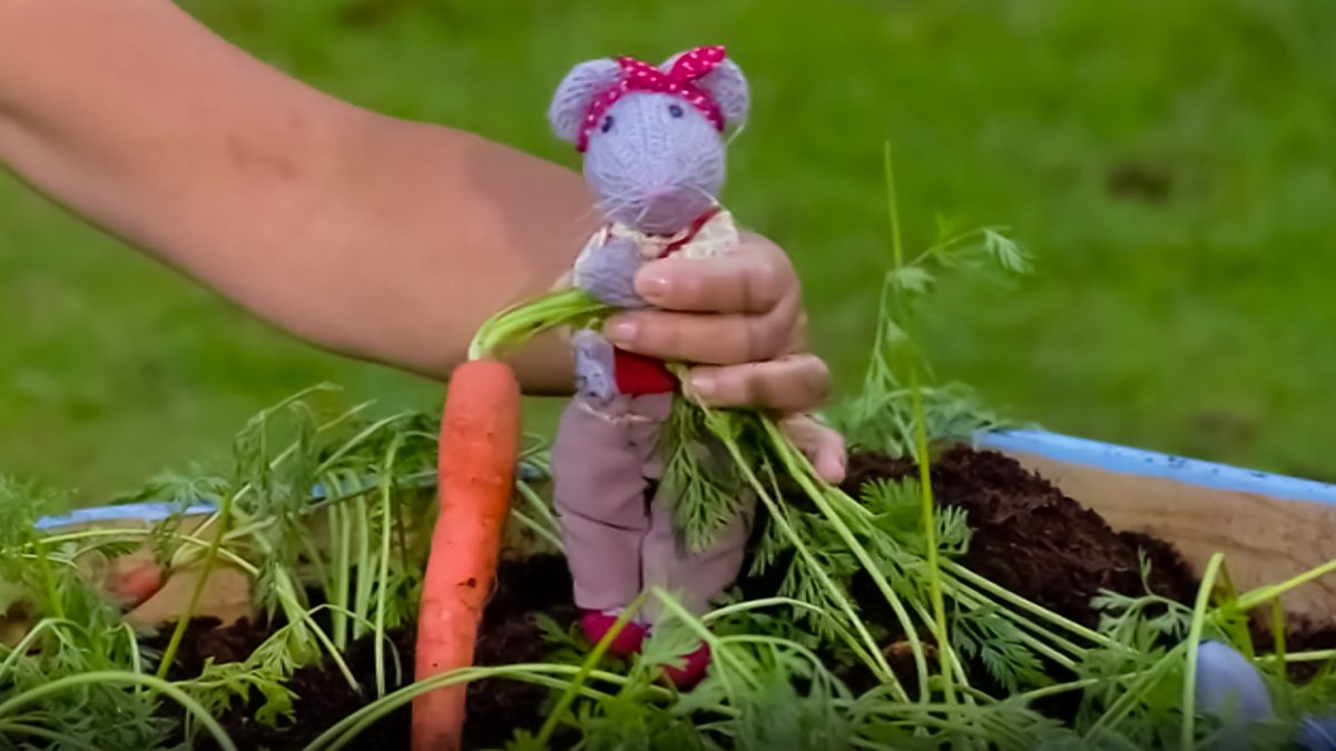 Show Me Show Me - Series 5: 10. Volcanoes and Carrots - BBC iPlayer