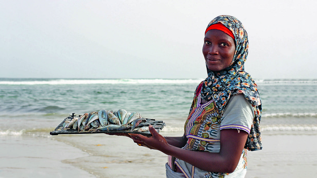 BBC World Service - The Documentary, Tale of a tiny fish: Part two