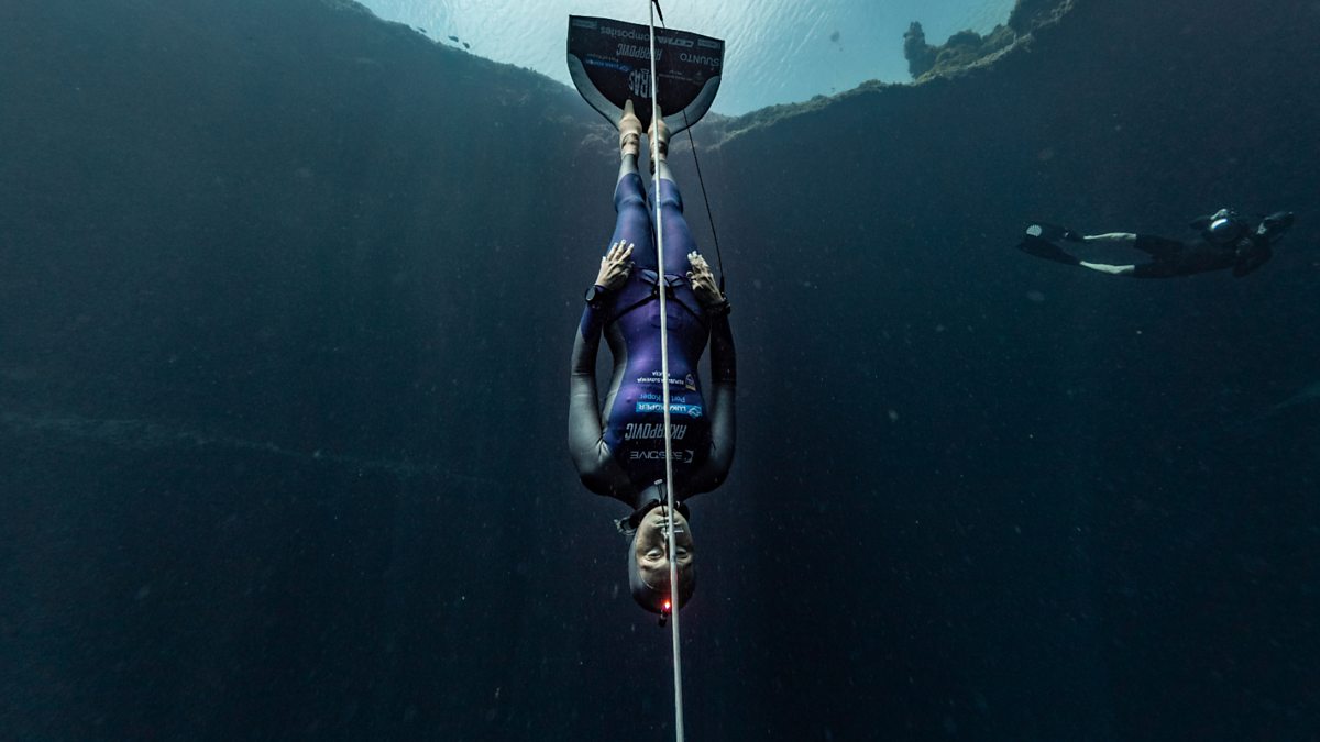 BBC World Service - The Outlook Podcast Archive, The freediver who ...
