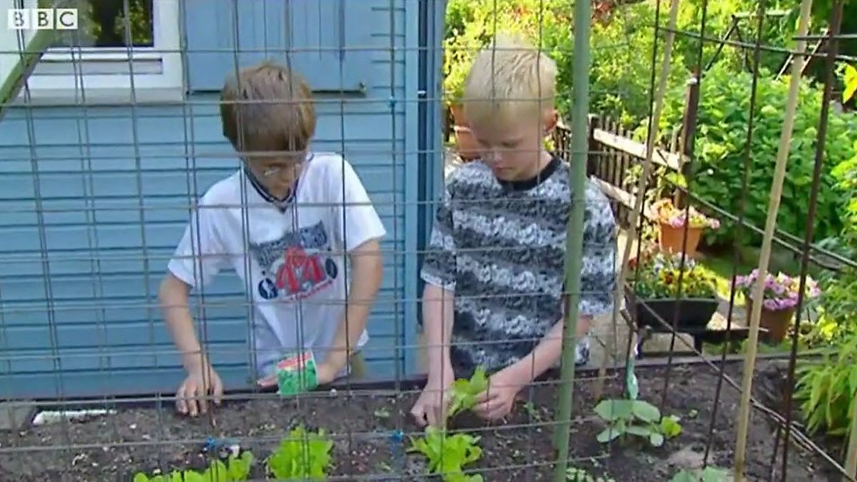 BBC Two - Being German, Allotments in Germany