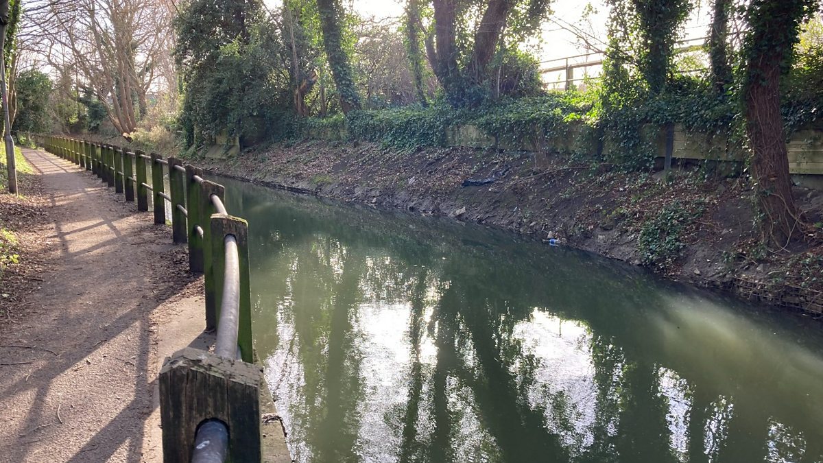 BBC Radio Wiltshire - Ben Prater, A bid to regenerate the River Biss in ...