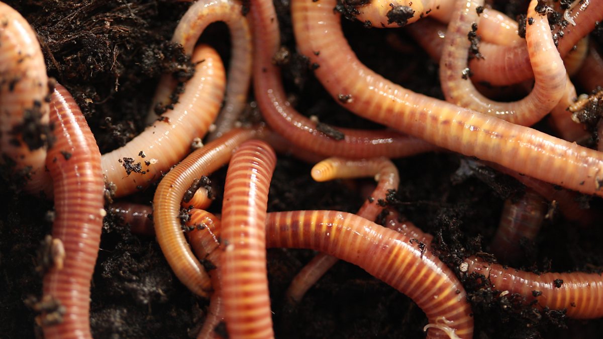 BBC Three Counties Radio - Roberto Perrone, Child abuse victim demands ...