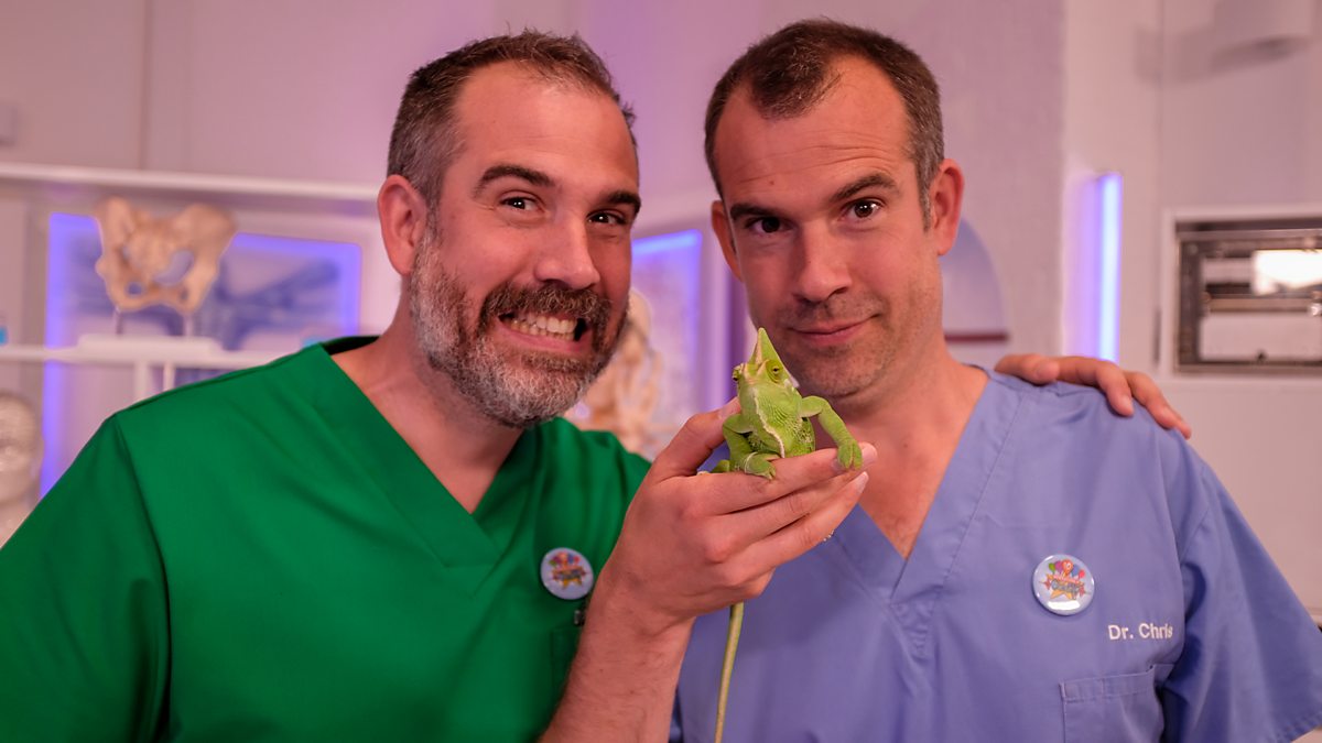 Operation Ouch! - Series 10: 3. Eyeball Extravaganza! - BBC iPlayer