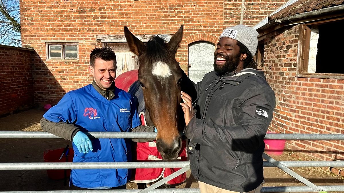 BBC Radio Humberside - Kofi Smiles, 17/02/2022, Kofi meets a horse dentist
