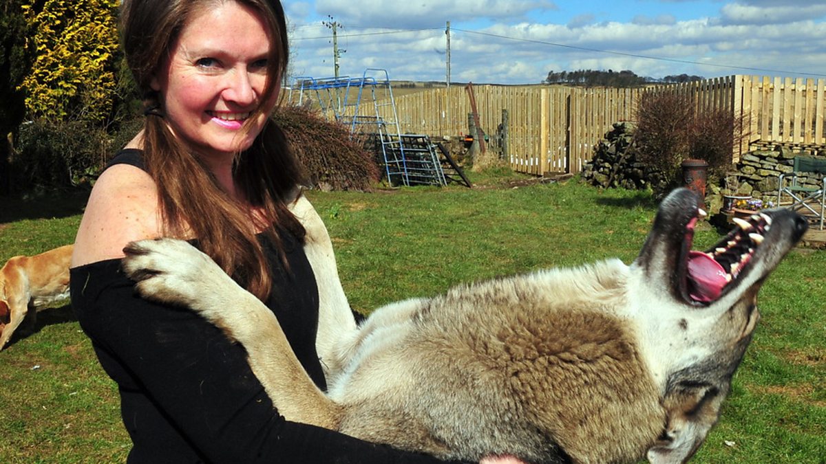 BBC Scotland - BBC Scotland - The animal wrangler coaxing perfect ...