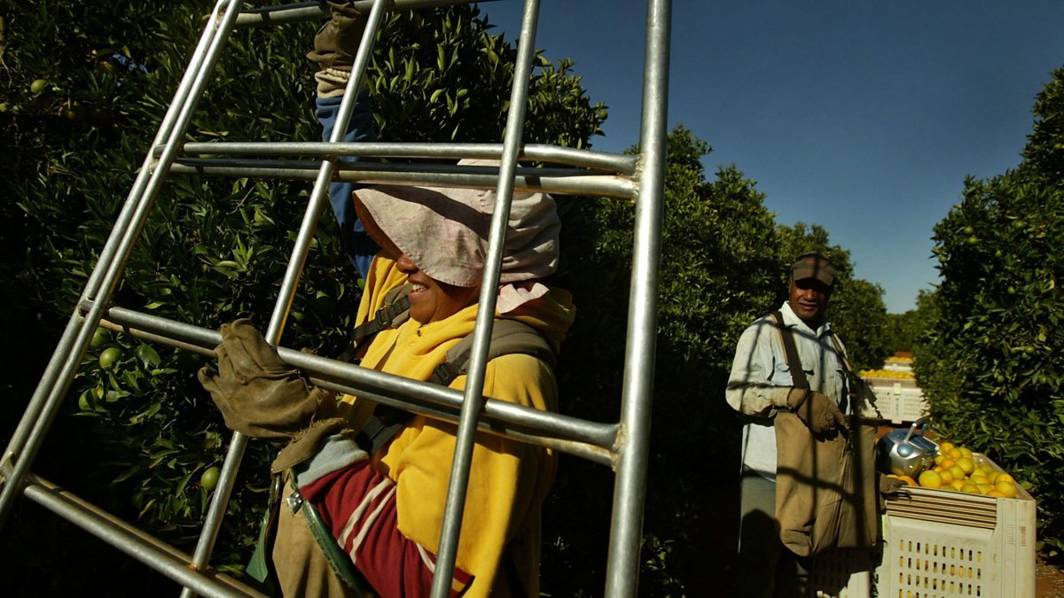 BBC World Service - Business Daily, Pacific Islanders working for their ...