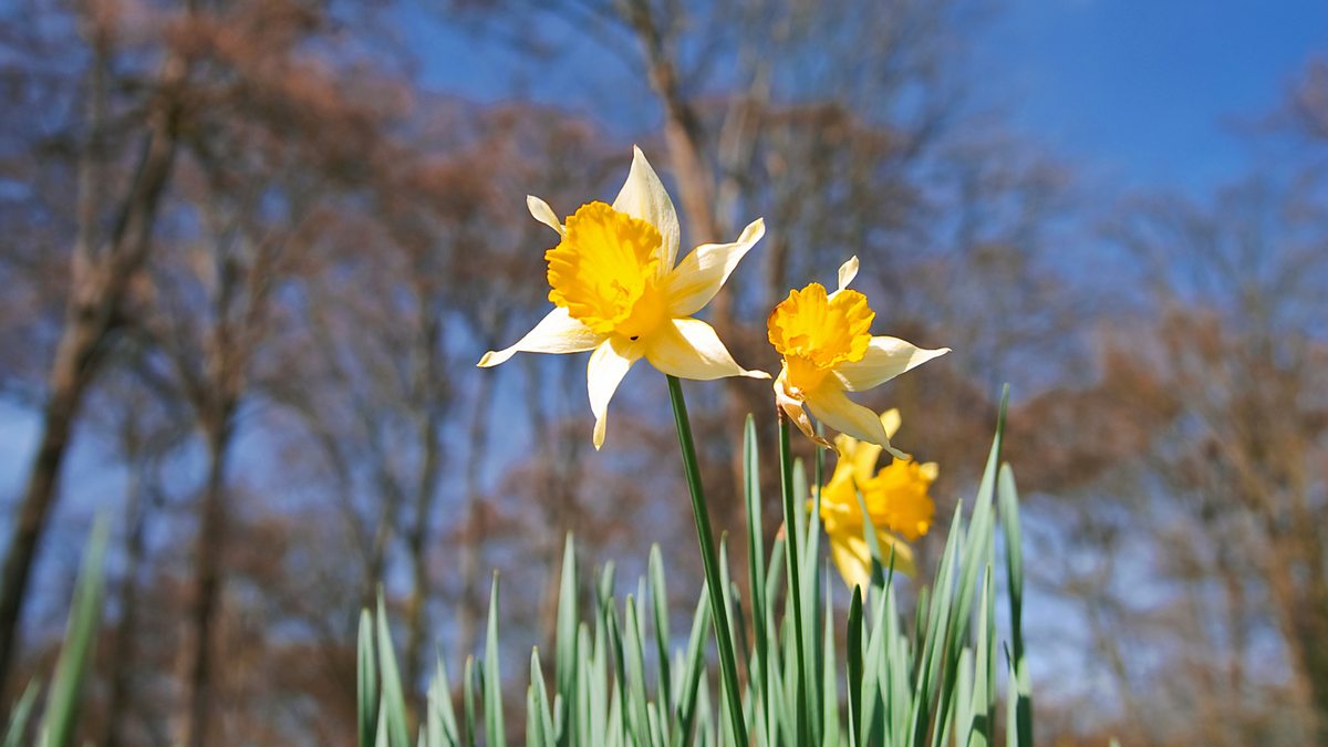 BBC Radio 4 - Spring Stories - Available now