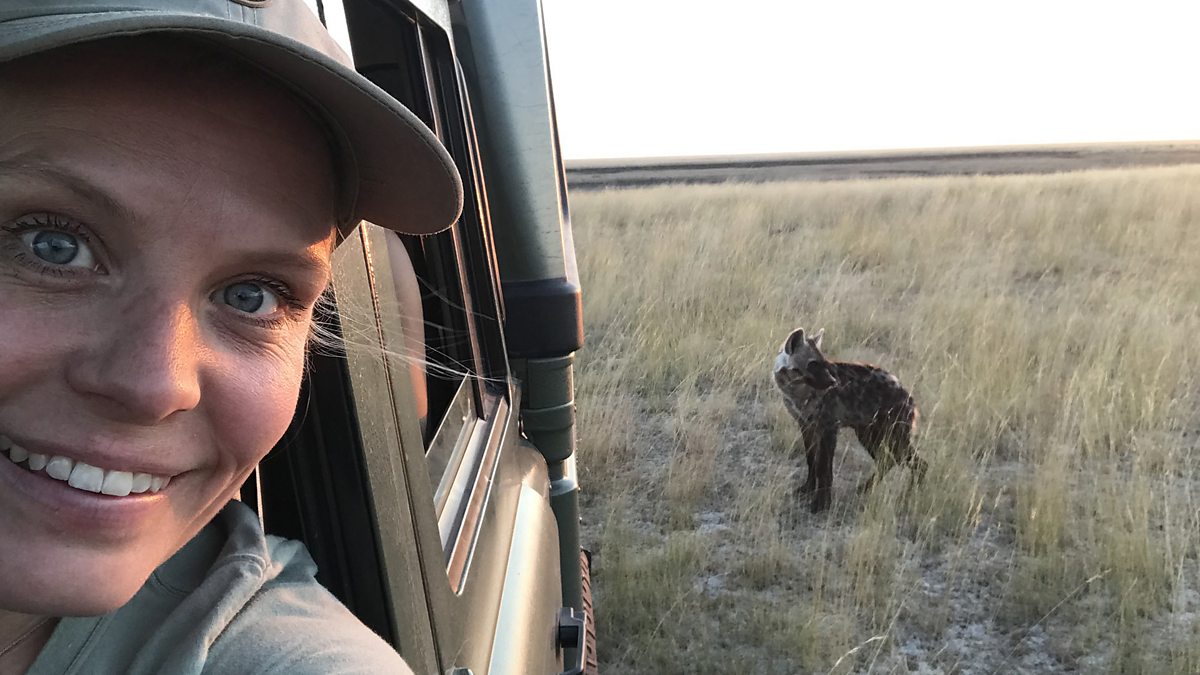 BBC One - Dynasties - Hyenas rock!